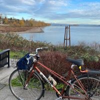 newbikes | Bike Goddess