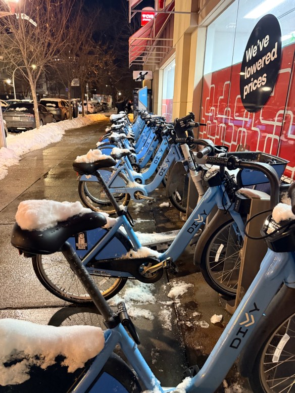 The Streak Stands | Bike Goddess